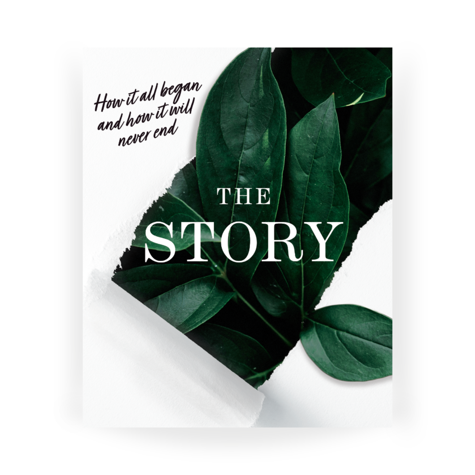 The Story Booklet | Spread Truth